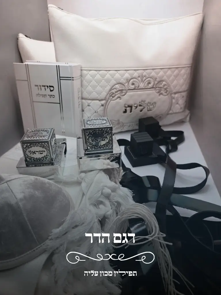 Tefillin Set – Hadar Edition - Tefillin Aliya