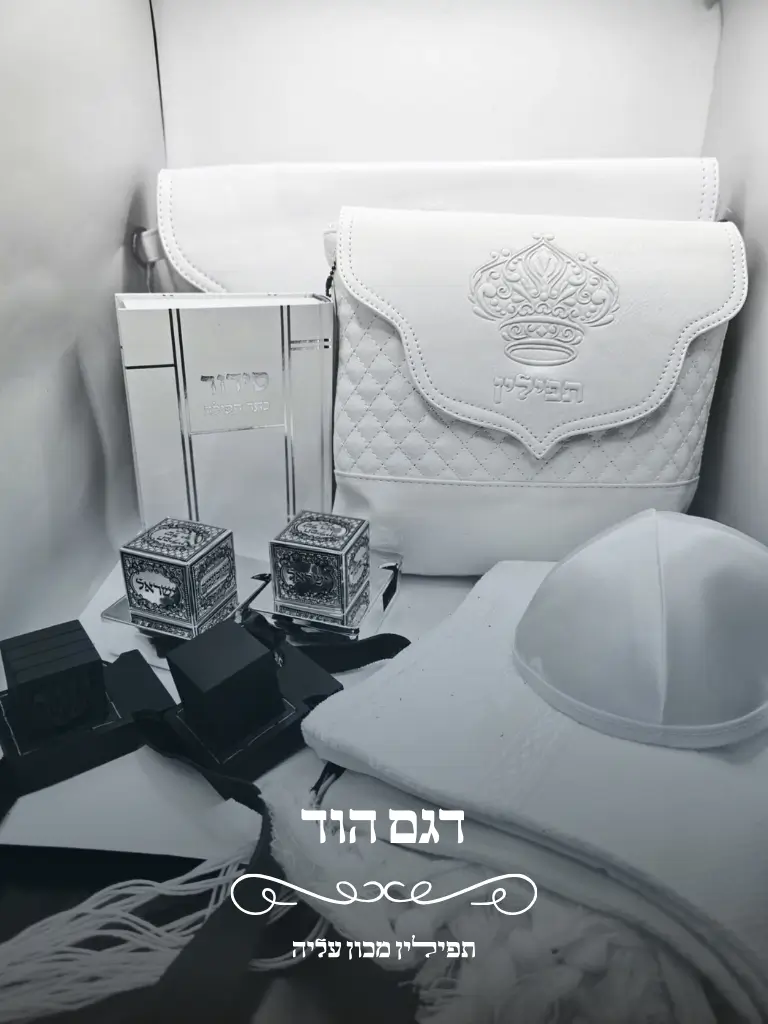 Tefillin Laying Guide - Short Version - Tefillin Aliya