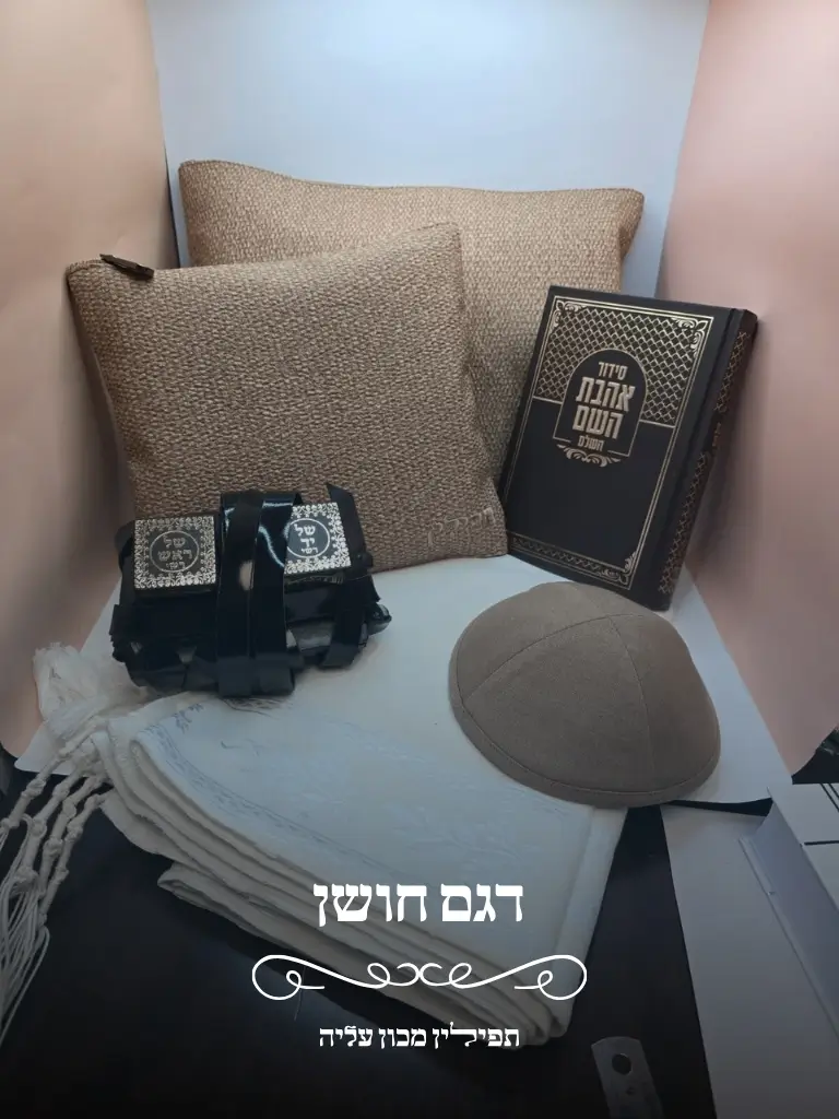 Tefillin Laying Guide - Short Version - Tefillin Aliya