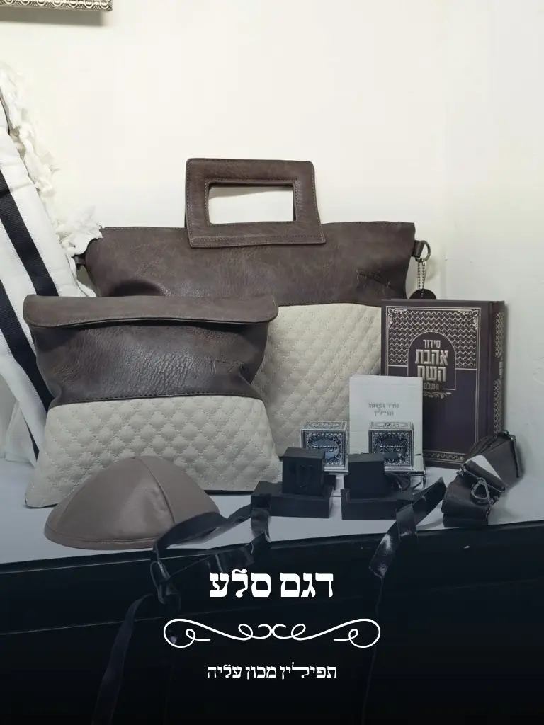 Tefillin Laying Guide - Short Version - Tefillin Aliya